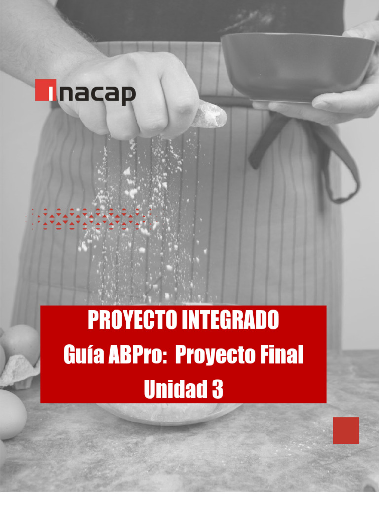Informe Proyecto Integrado Este Sii | PDF
