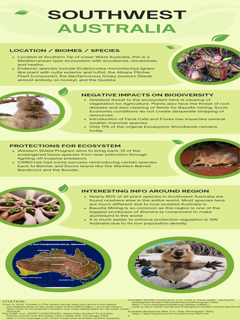 Green Simple Go Green Infographic | PDF | Ecology | Natural Environment