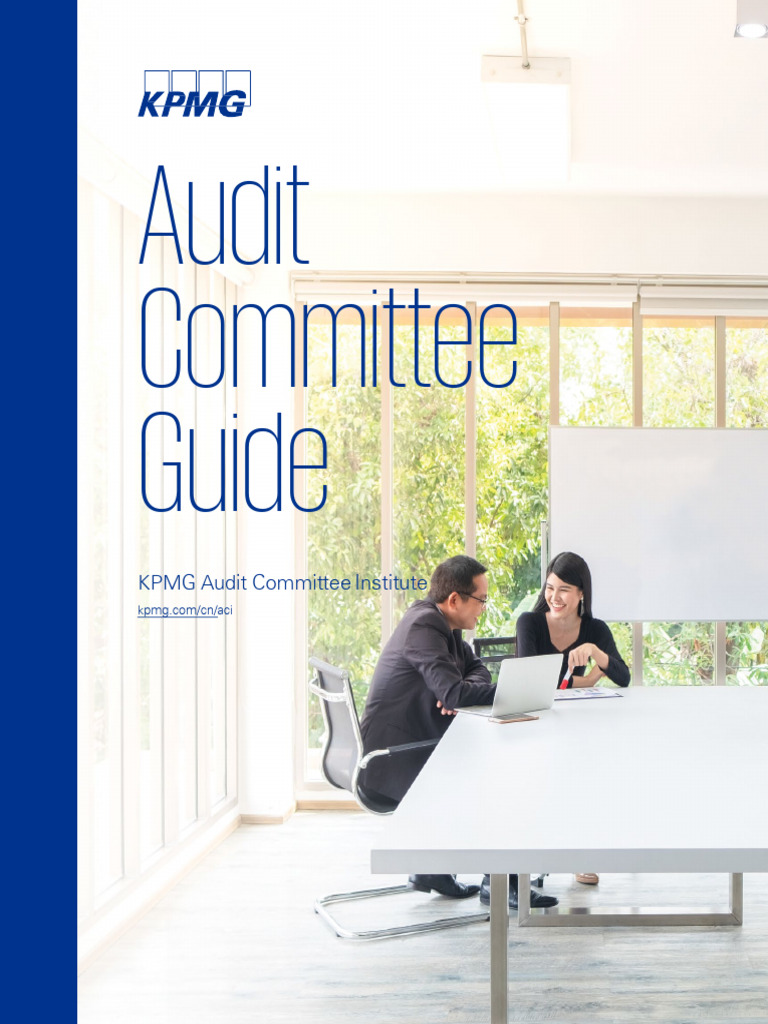 Audit Committee Guide | PDF | Business