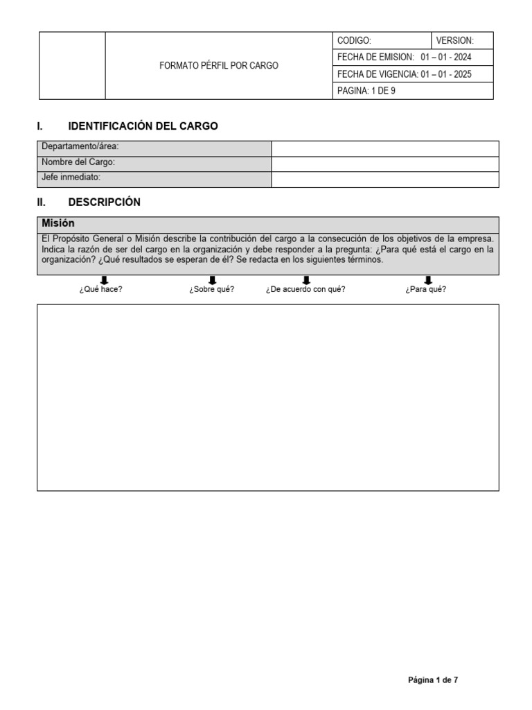 Formato Perfil Del Cargo | PDF