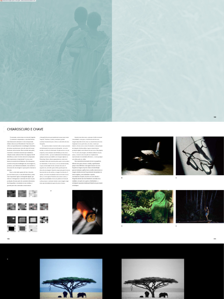 The Photographers Eye Composition and Design For Better Digital Photos ...