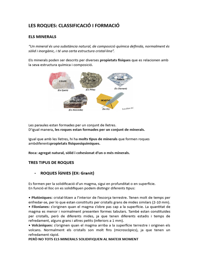 Examen Roques | PDF