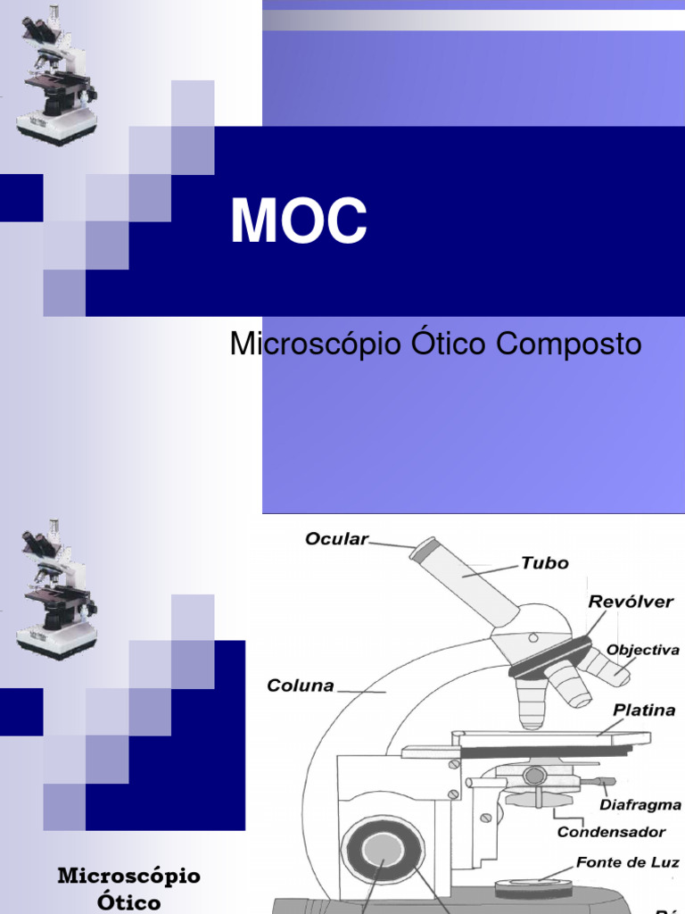 MICROS | PDF