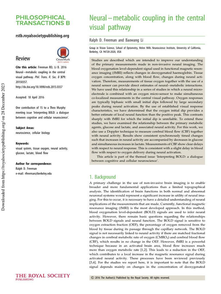 Freeman Et Al 2016 Neural Metabolic Coupling in The Central Visual Pathway | PDF | Functional ...