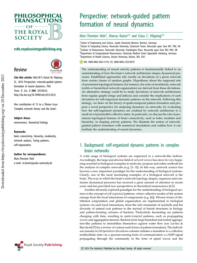 Hütt Et Al 2014 Perspective Network Guided Pattern Formation Of Neural Dynamics Pdf Brain