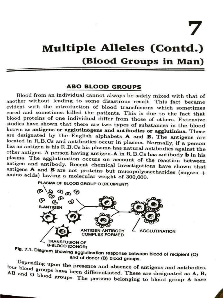Blood Grouping. | PDF | Blood Type | Dominance (Genetics)