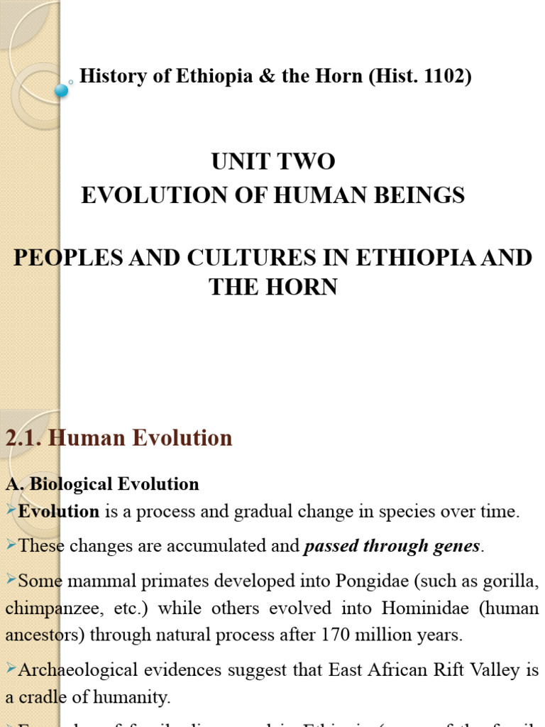 Ethiopian Human Evolution Insights | PDF | Homo | Human Evolution