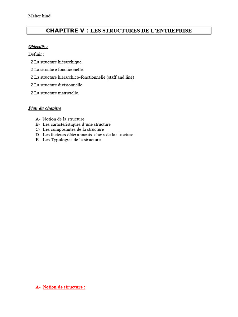 Chapitre V Les Structures de L Entreprise AA102 | PDF