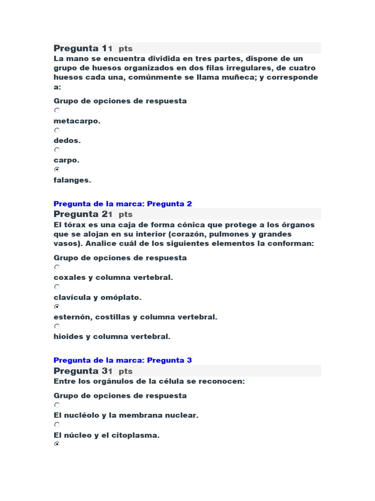 Cuest #1 Anatomia | PDF | Citoplasma | Nucleo celular