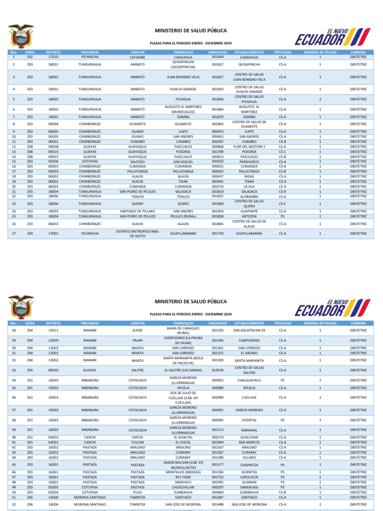 Plazas para El Periodo Enero - Diciembre 2024 | PDF
