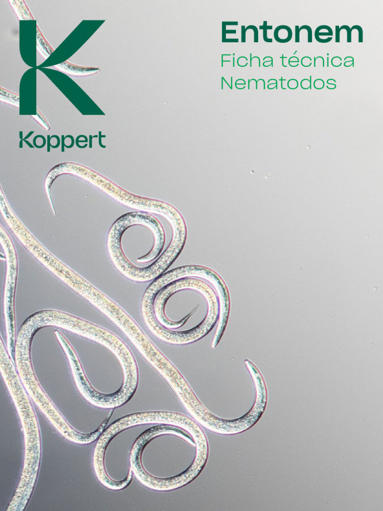 Koppert - Leaflet Entonem Ficha Técnica EC | PDF
