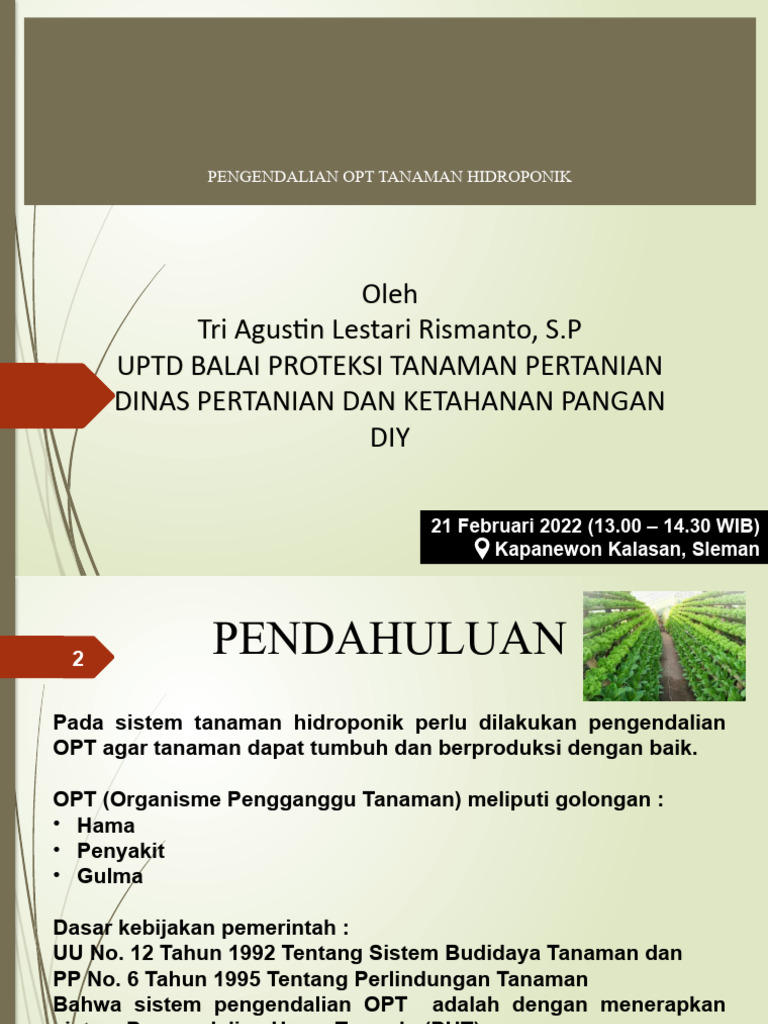 Pengendalian OPT Tanaman Hidroponik | PDF | Griya & Taman