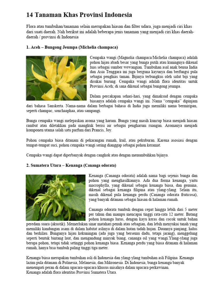 Tanaman Khas Provinsi Di Indonesia | PDF