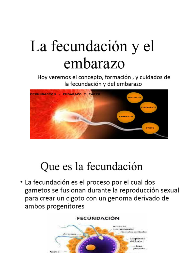 Fecundación y Embarazo: Conceptos y Cuidados | PDF | Ciencia y matemáticas