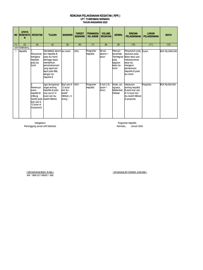 RPK Tahunan - BULANAN 2023 HEPATITIS | PDF
