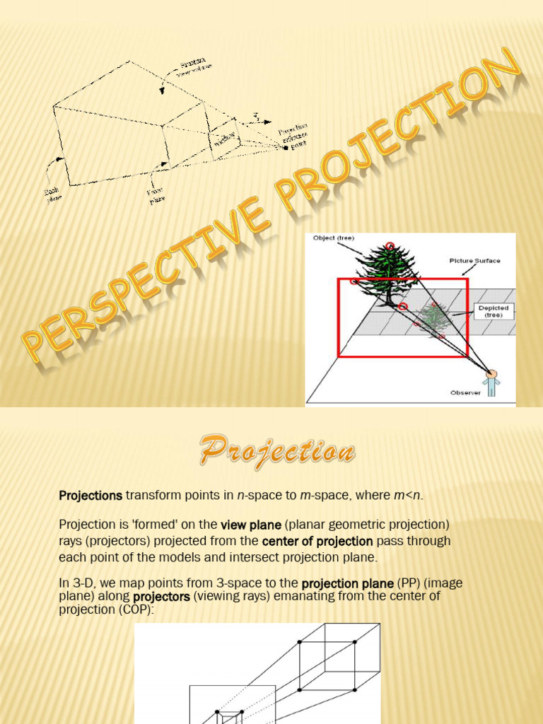 Perpective Presentation2 | PDF