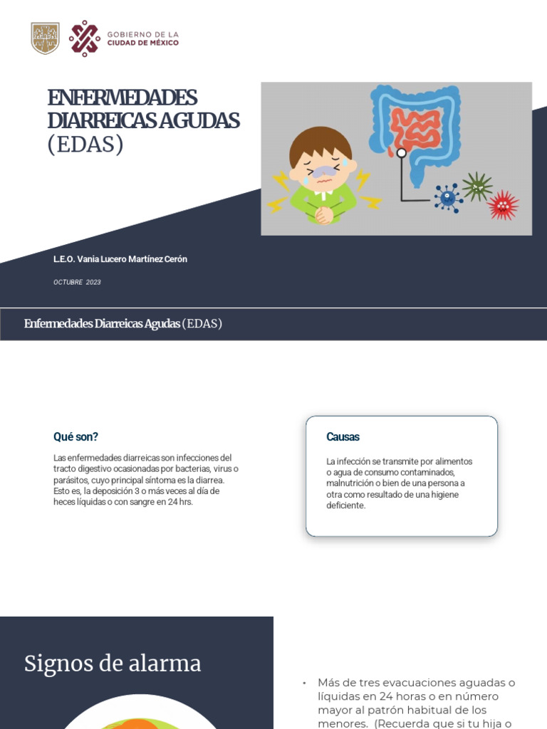 Capacitacion de Iras y Edas | PDF | Diarrea | Heces