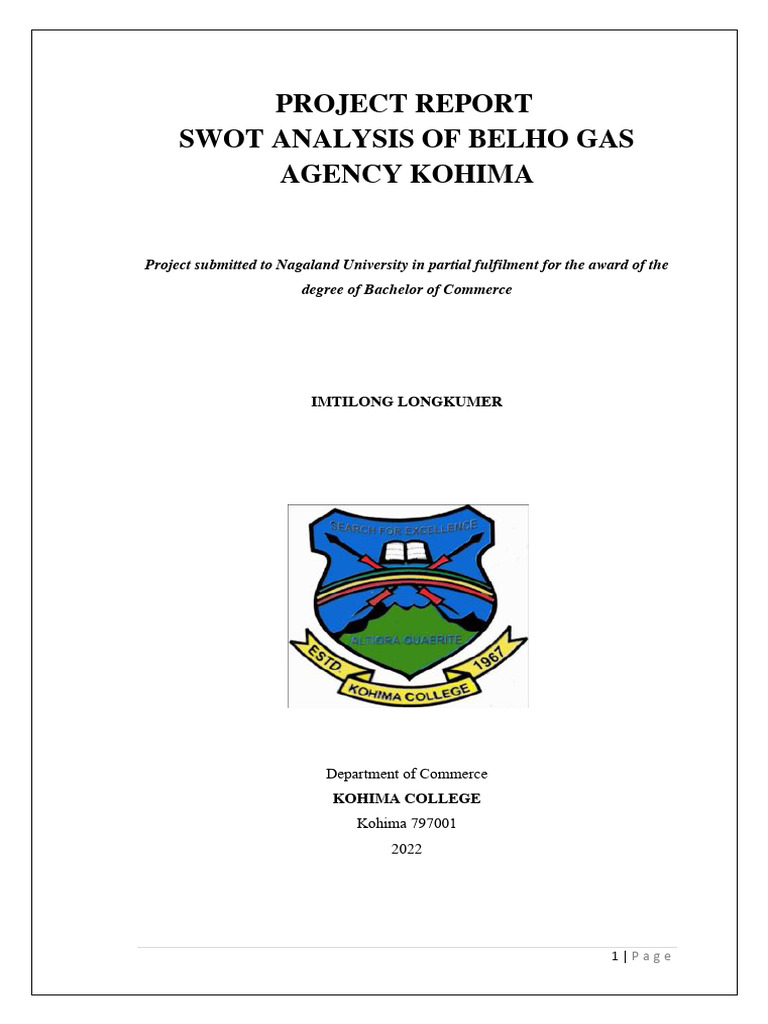 SWOT Analysis of Belhho Gas Agency Kohima | PDF | Liquefied Petroleum ...