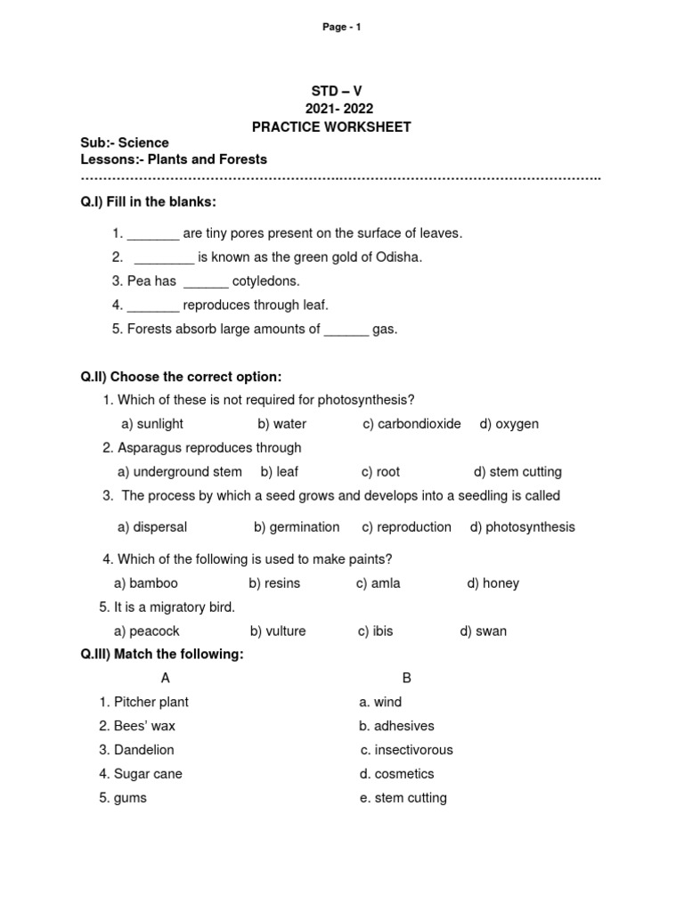 STD.V Practice Worksheet (Plants and Forests) 2 | PDF | Plants | Seed