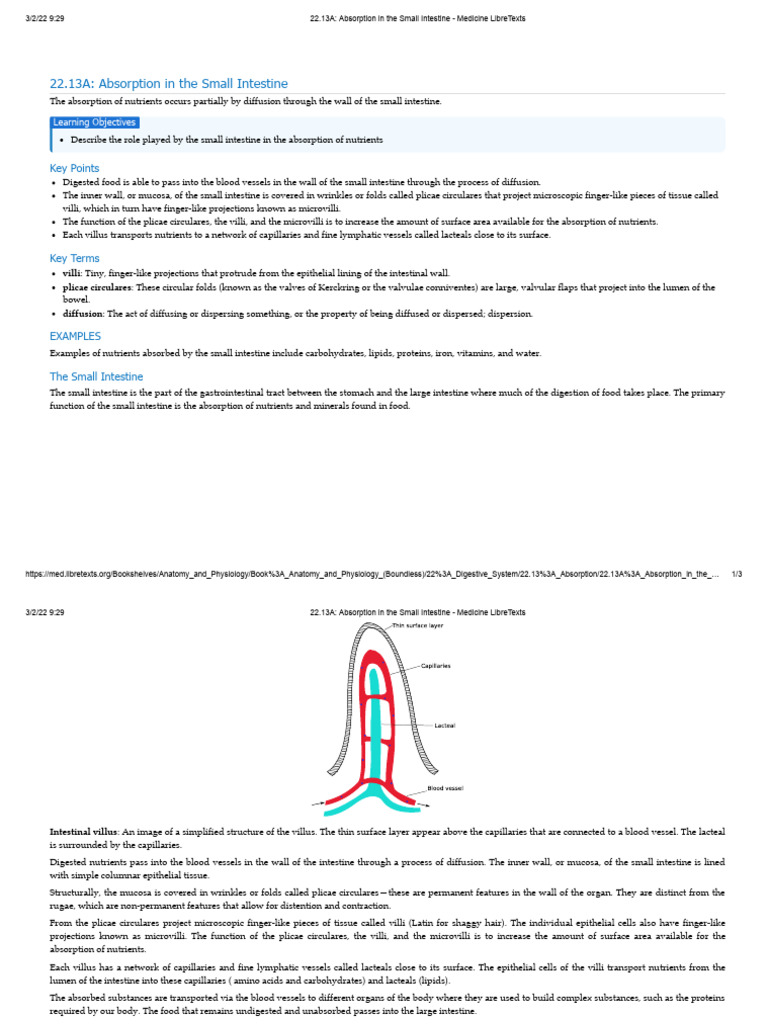 22.13A - Absorption in The Small Intestine - Medicine LibreTexts | PDF ...