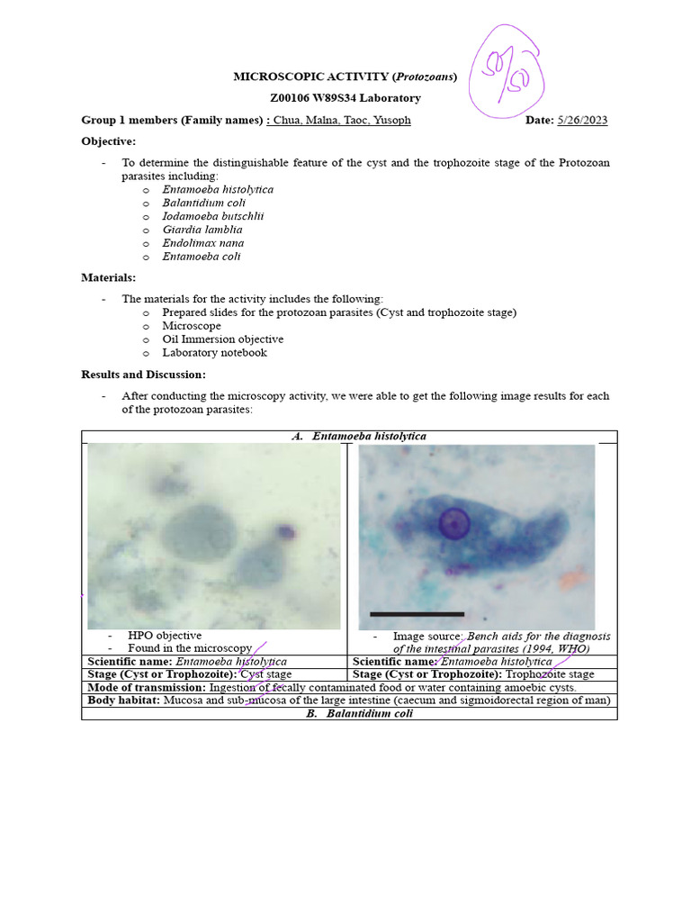 Protozoan Parasites: Cyst vs Trophozoite | PDF | Microbiology | Medical ...