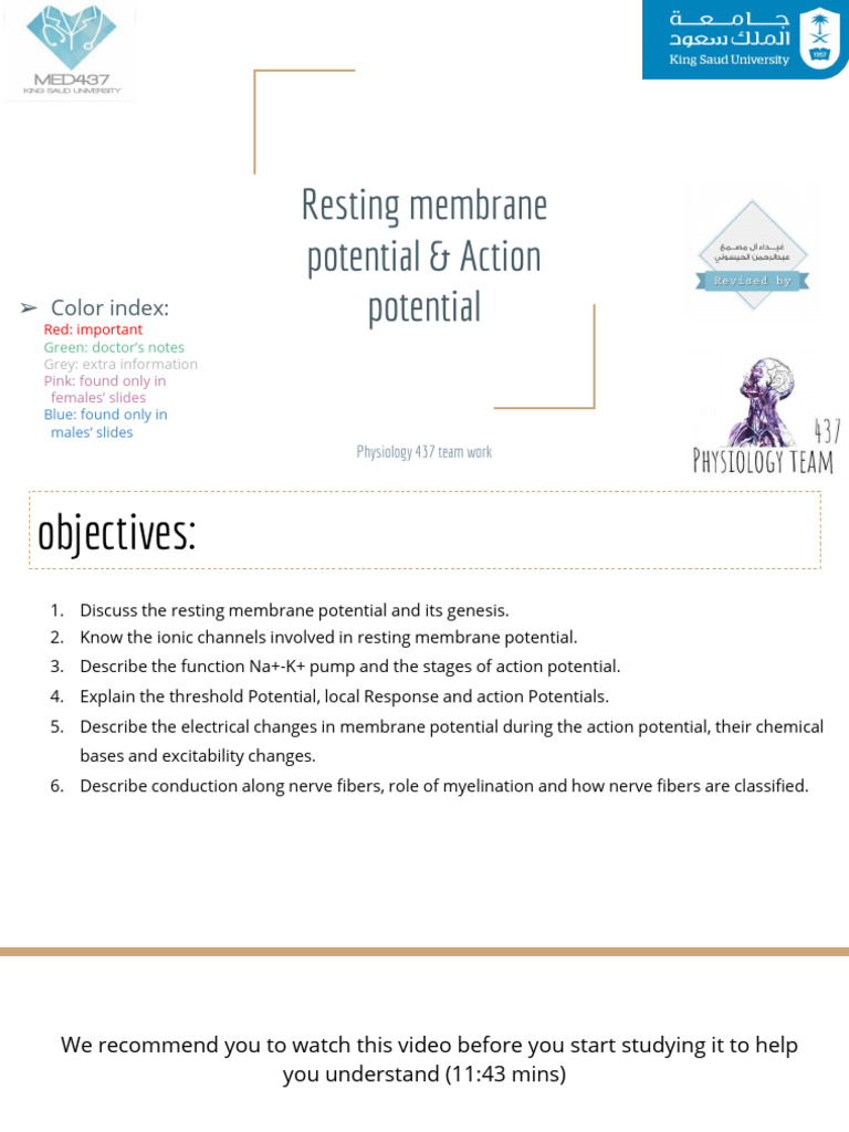 Action Potential and Resting Membrane Dynamics | PDF | Action Potential ...