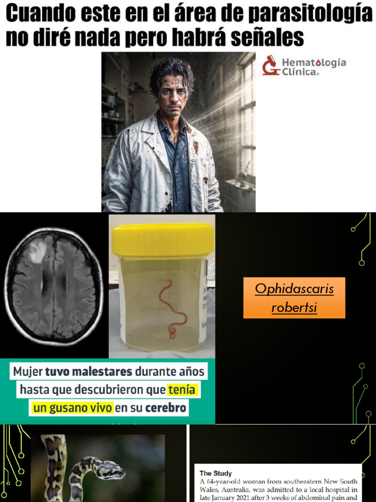 Protozoos Intestinales Ameboideos Comensales | PDF | Especialidades ...