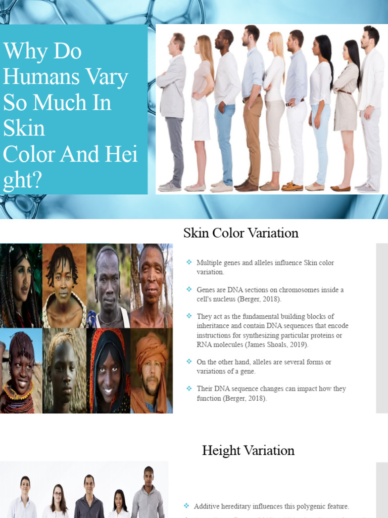 Why Do Humans Vary So Much in Skin | Download Free PDF | Gene ...