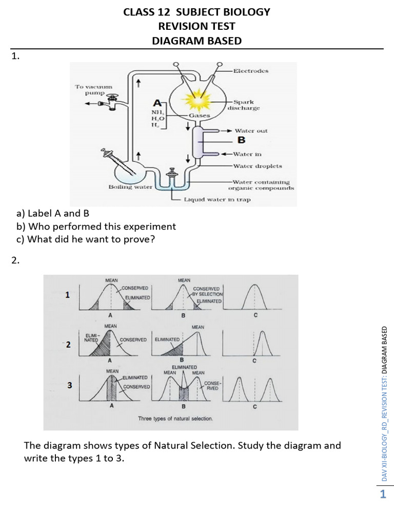 XII Biology Revision Test (Diagram - Based) - 06dec2023 | PDF