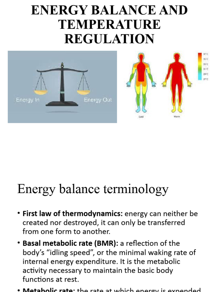 Energy Balance and Temperature Regulation | PDF | Eating | Leptin