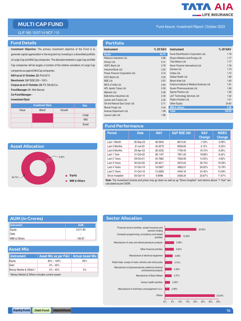 Tata Multi Cap Fund Overview | PDF