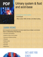 Urinary System | PDF | Kidney | Urinary System