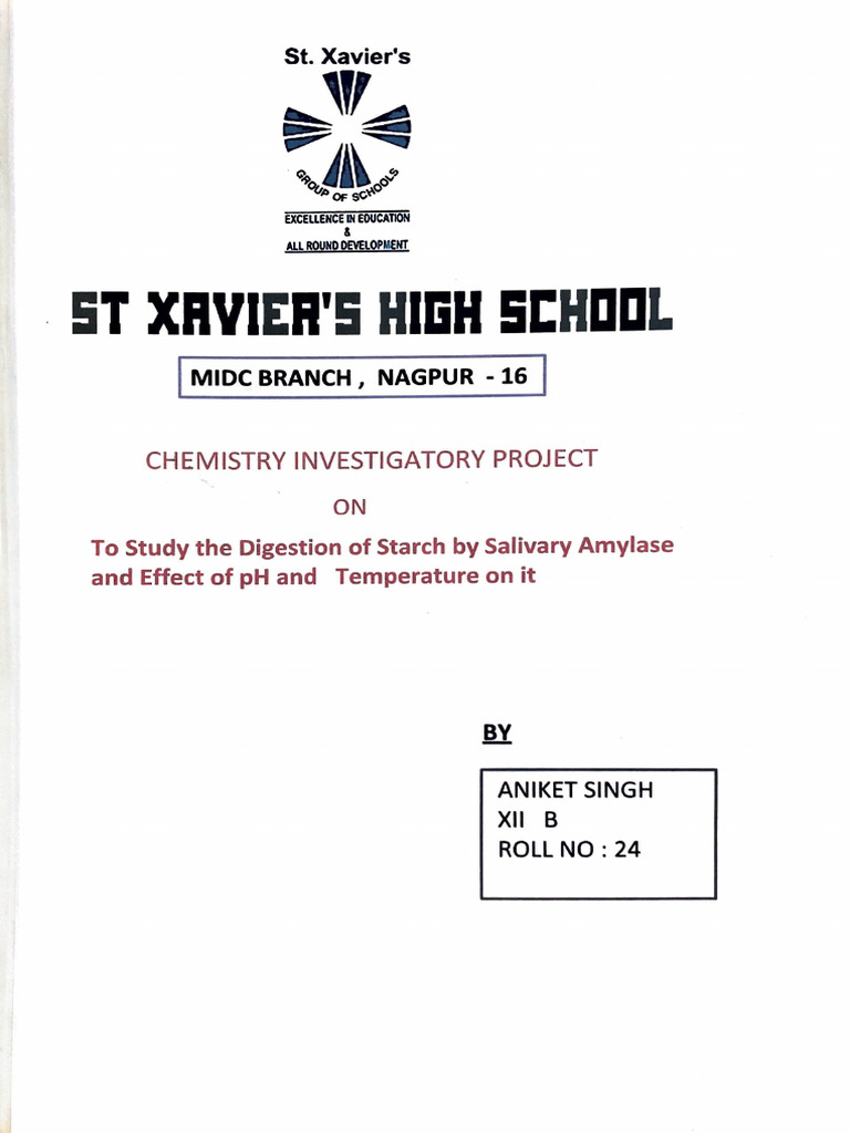 Chemistry Project File | PDF
