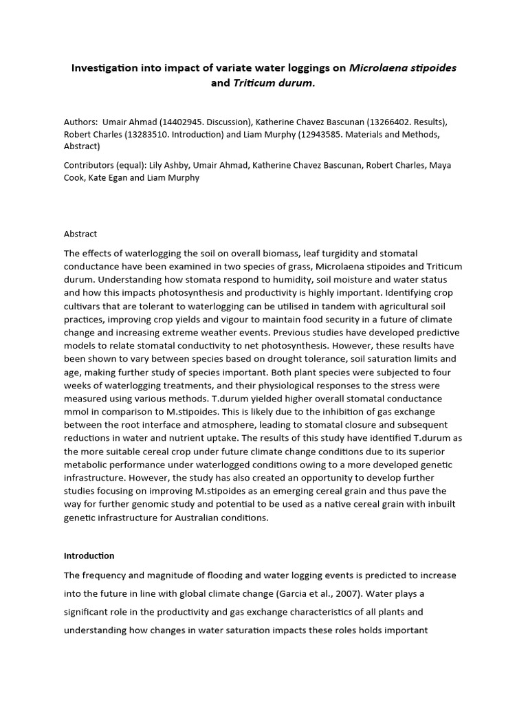 Water Logging Report | PDF