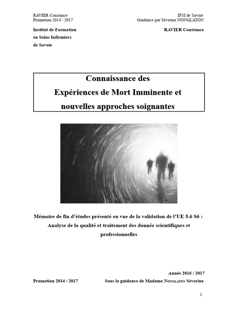 Expériences de Mort Imminente et Soins | PDF