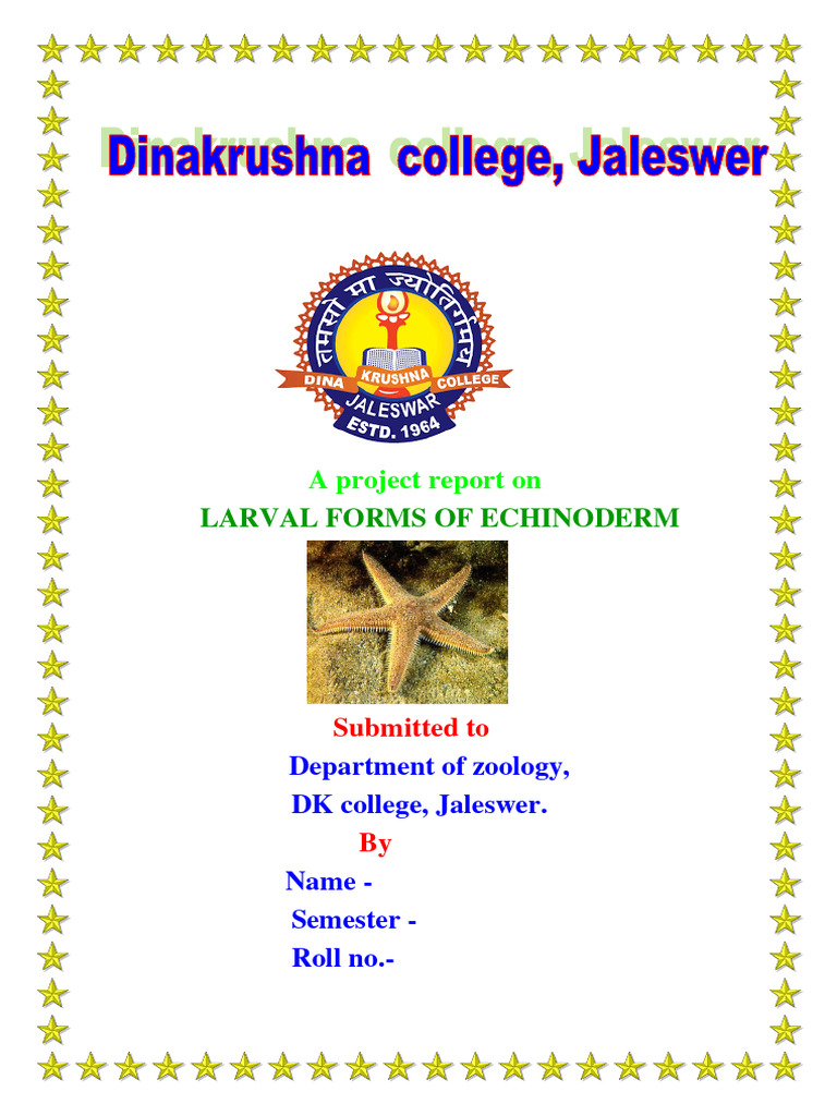 Project Echinoderm | PDF