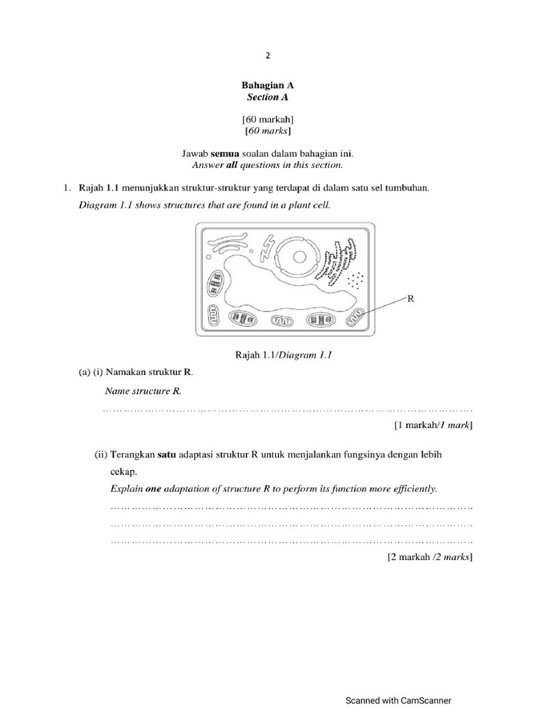 Biology f4 MLC Revision | PDF