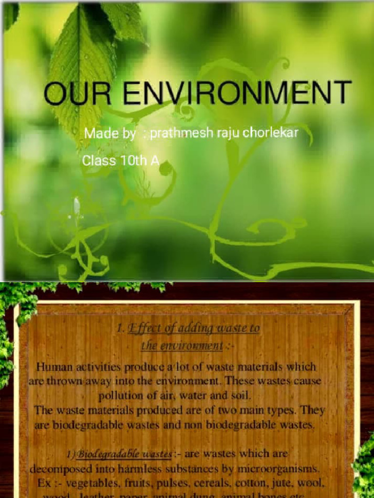 Name - Prathmesh, Class - 10th A | PDF