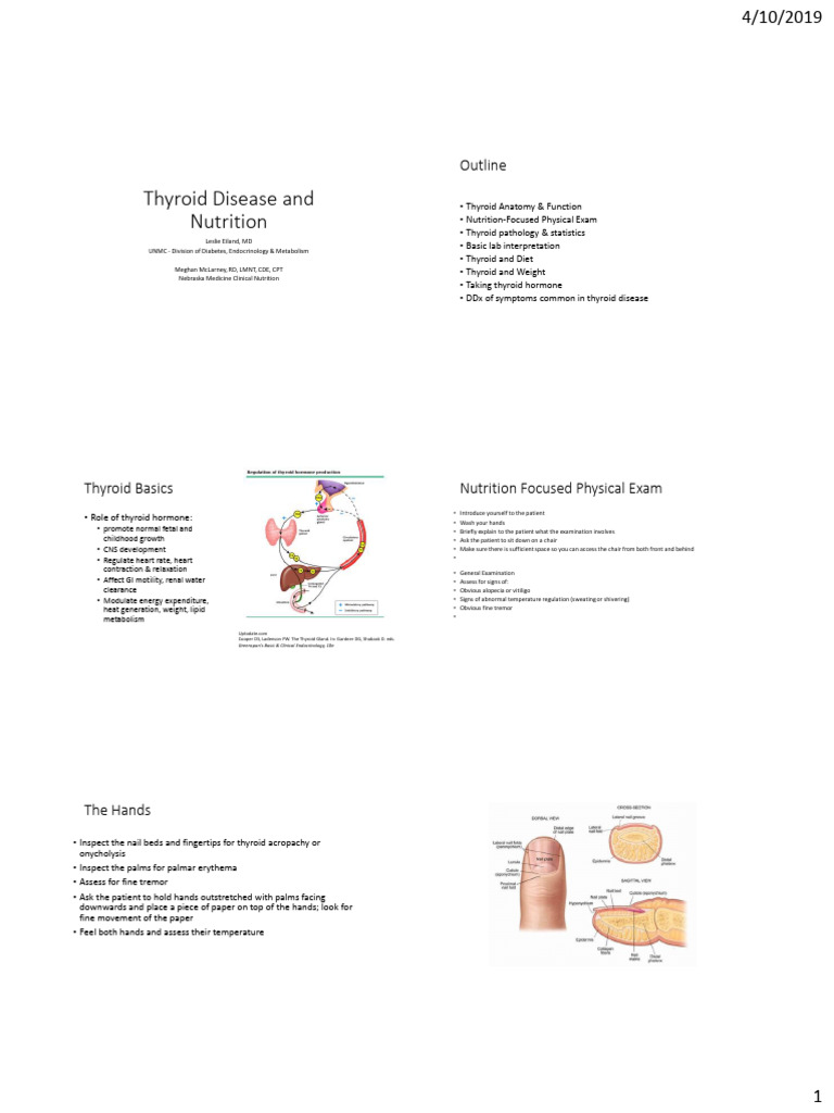 Thyroid and Nutrition 4 2 1 Handouts | PDF | Hypothyroidism | Thyroid