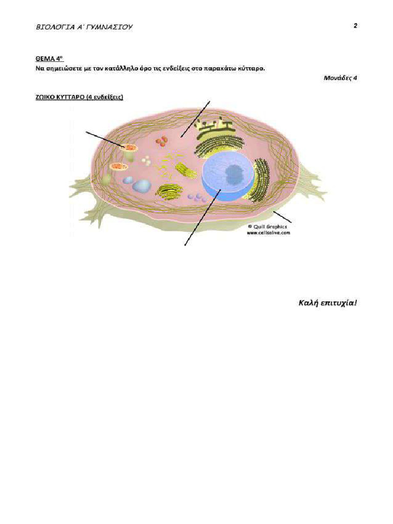 Διαγώνισμα Βιολογία Α Γυμνασίου | PDF