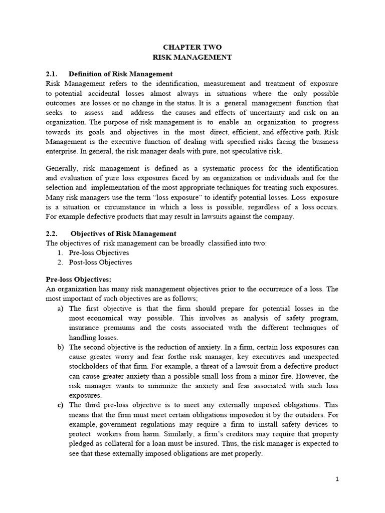 Risk Management Chapter Two | PDF
