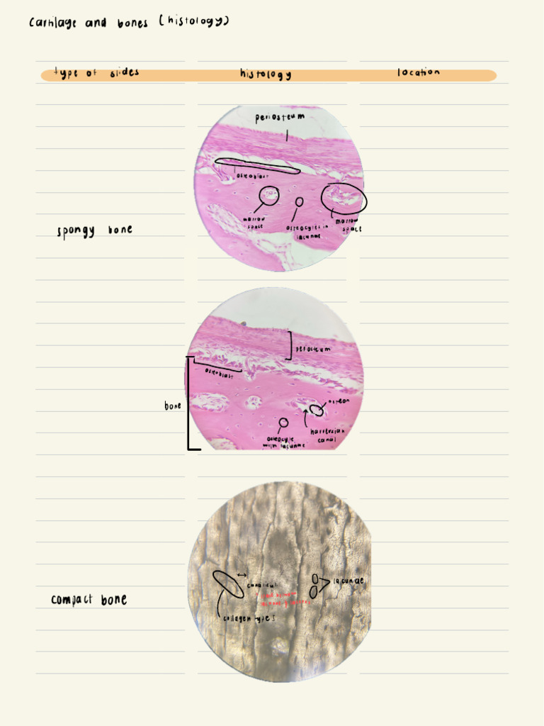 Notes Module 1 Pdf