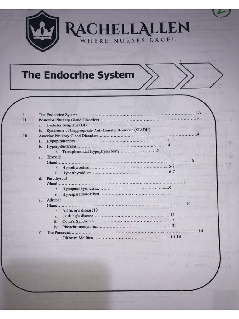 Endo 1 | PDF