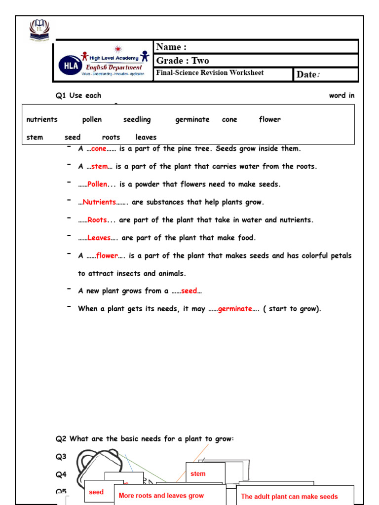 Sience Revision W.s-Answer Key | PDF