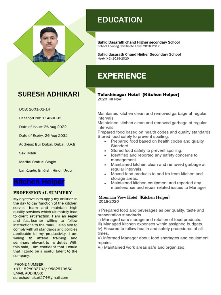 Suresh Kitchen Helper CV-1 | PDF