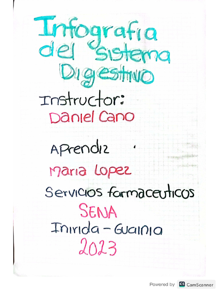 Infografia Sistema Digestivo | PDF