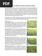 NSIC Seed Variety Catalogue 2023 | PDF | Rice | Organisms
