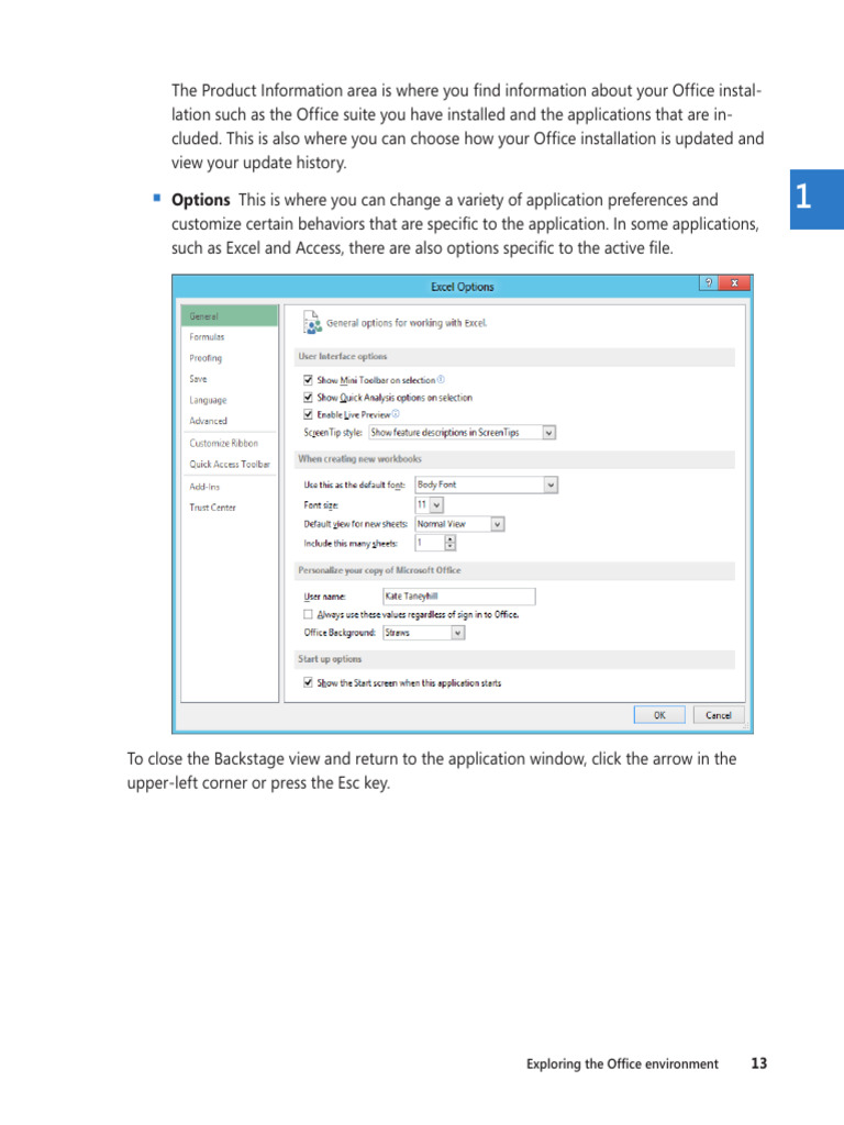 Options This Is Where You Can Change A Variety of Application ...