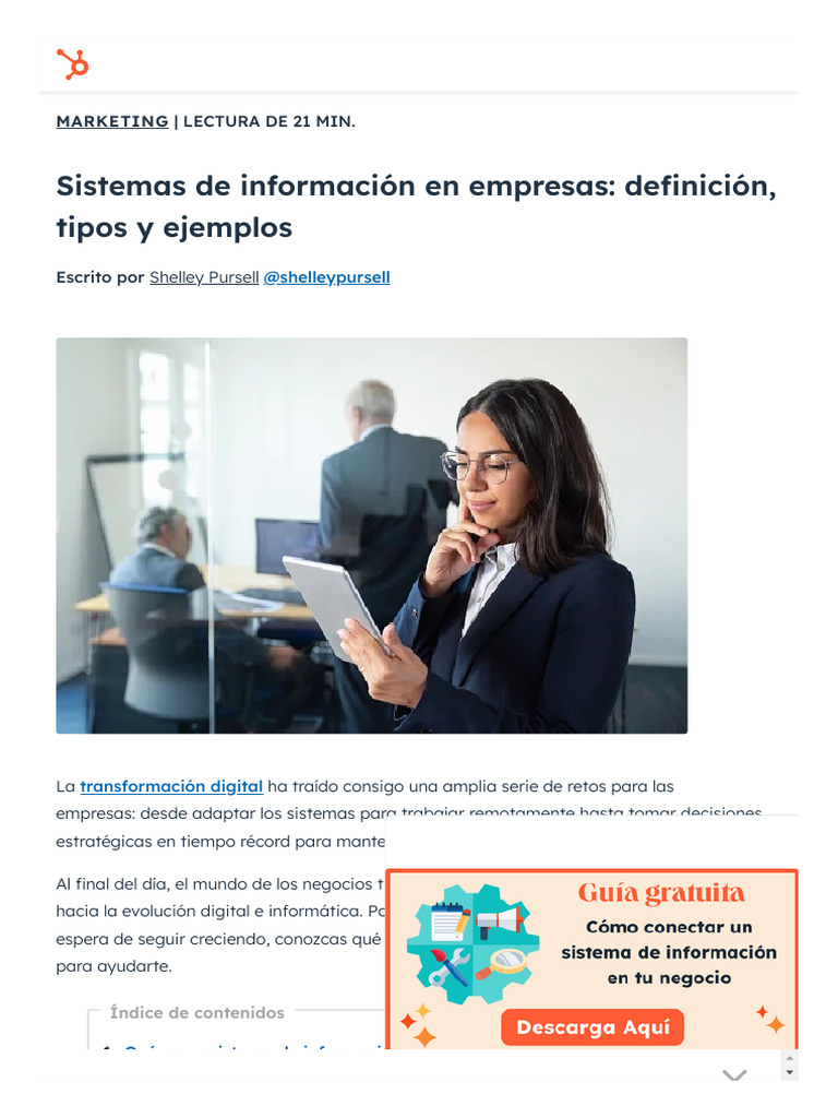 Sistemas de Información en Empresas - Definición, Tipos y Ejemplos | PDF