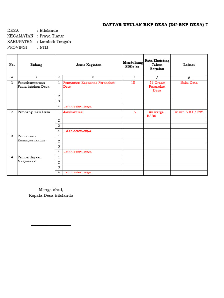 14 Format DU-RKP Desa | PDF